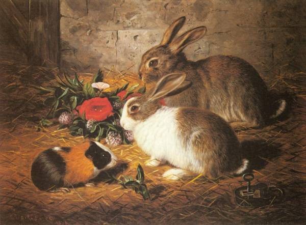 Famous Rabbit Art
